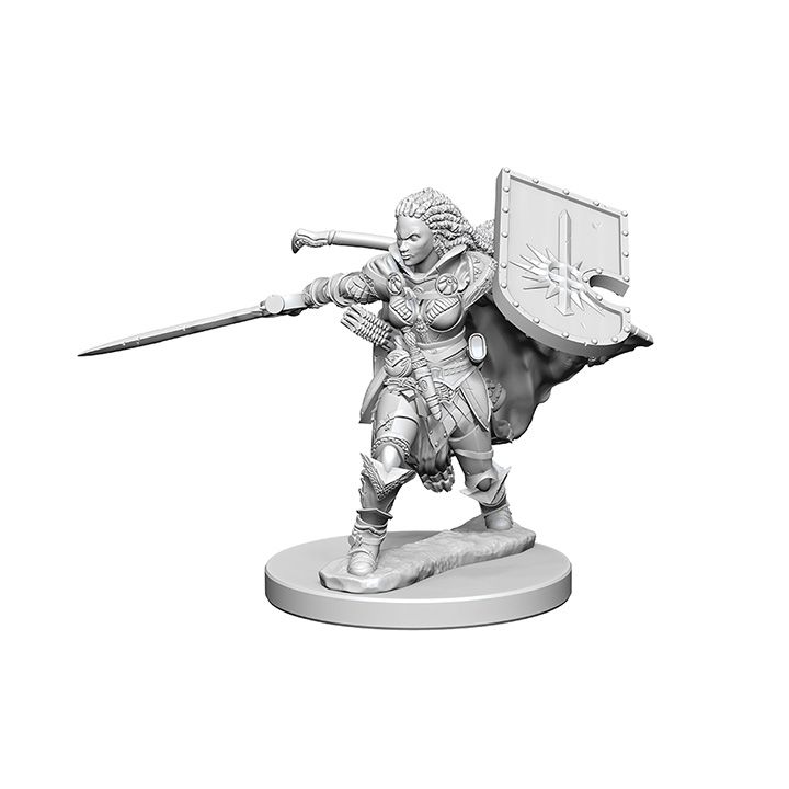 Pathfinder Deep Cuts Unpainted Miniatures Human Female Paladin – Stone ...
