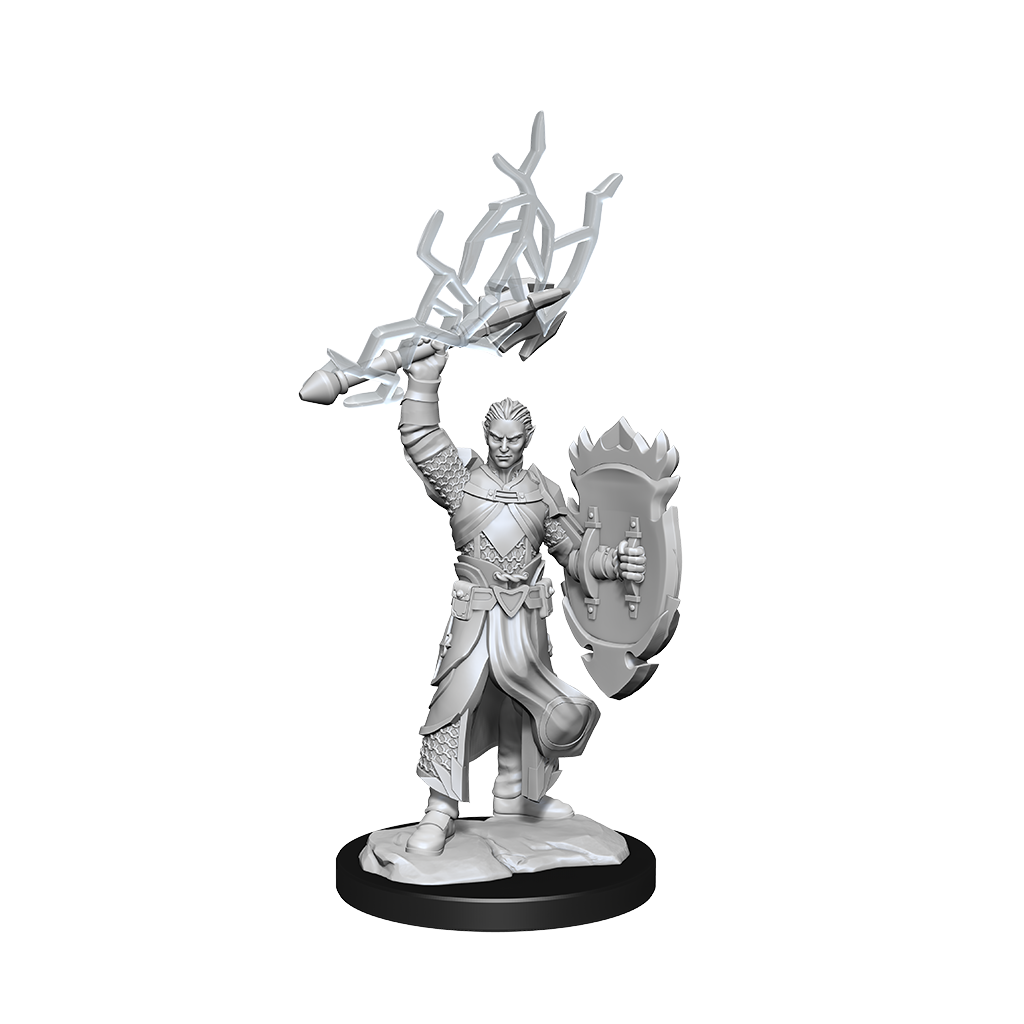 D&D Nolzurs Marvelous Unpainted Miniatures Half-Elf Paladin Male ...