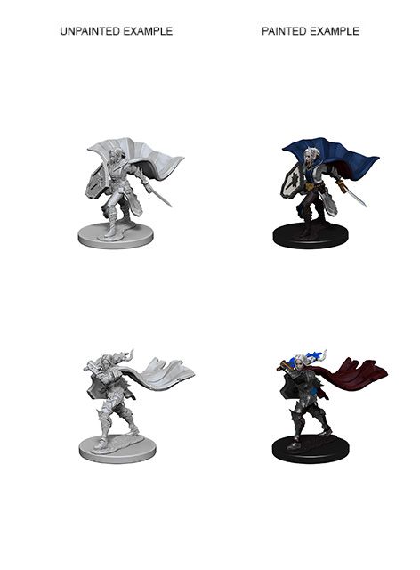 Pathfinder Deep Cuts Unpainted Miniatures Elf Female Paladin – Stone Monkey